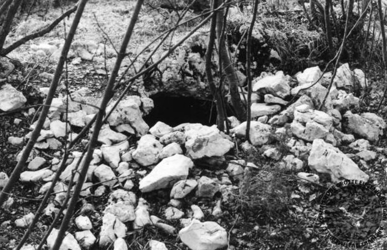 DUINO AURISINA (Ts). Loc. San Pelagio. Grotta dell'ansa, materiali ...