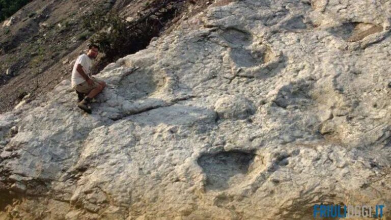 DOGNA (Ud). Museo del Territorio e Centro di Educazione Ambientale ...